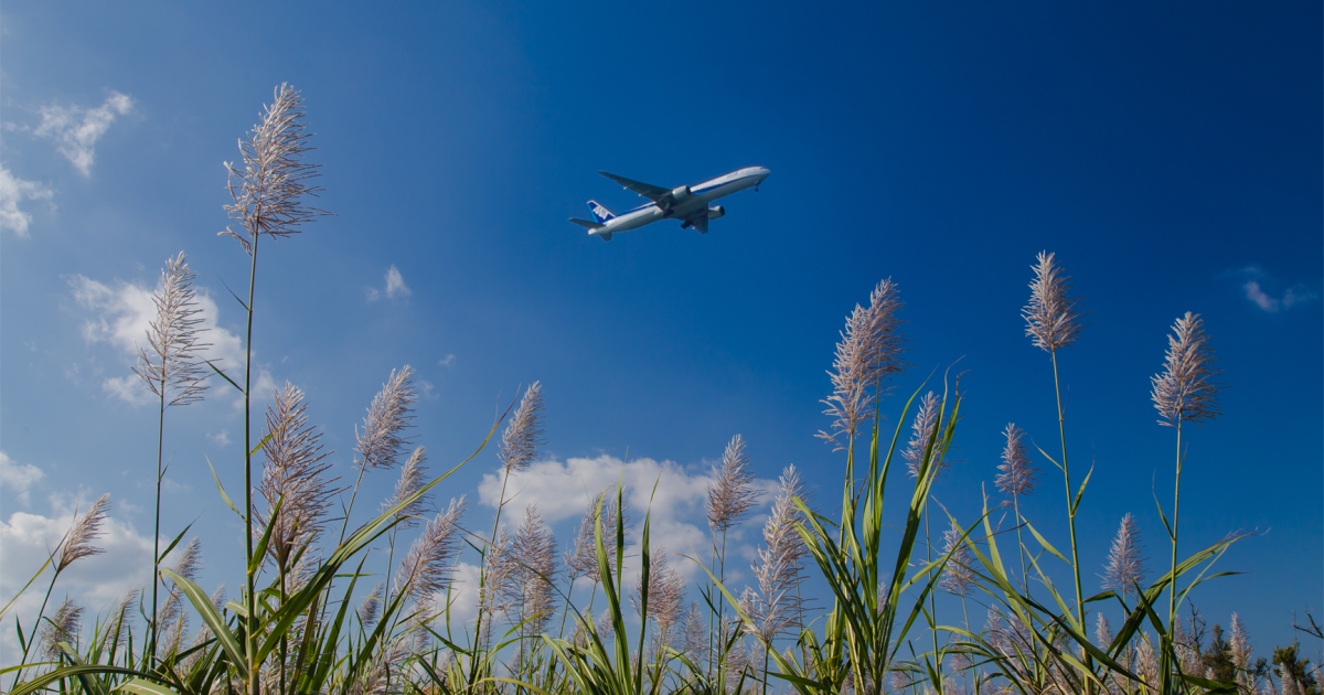 Australia unites with ASEAN Sugar Alliance | CANEGROWERS