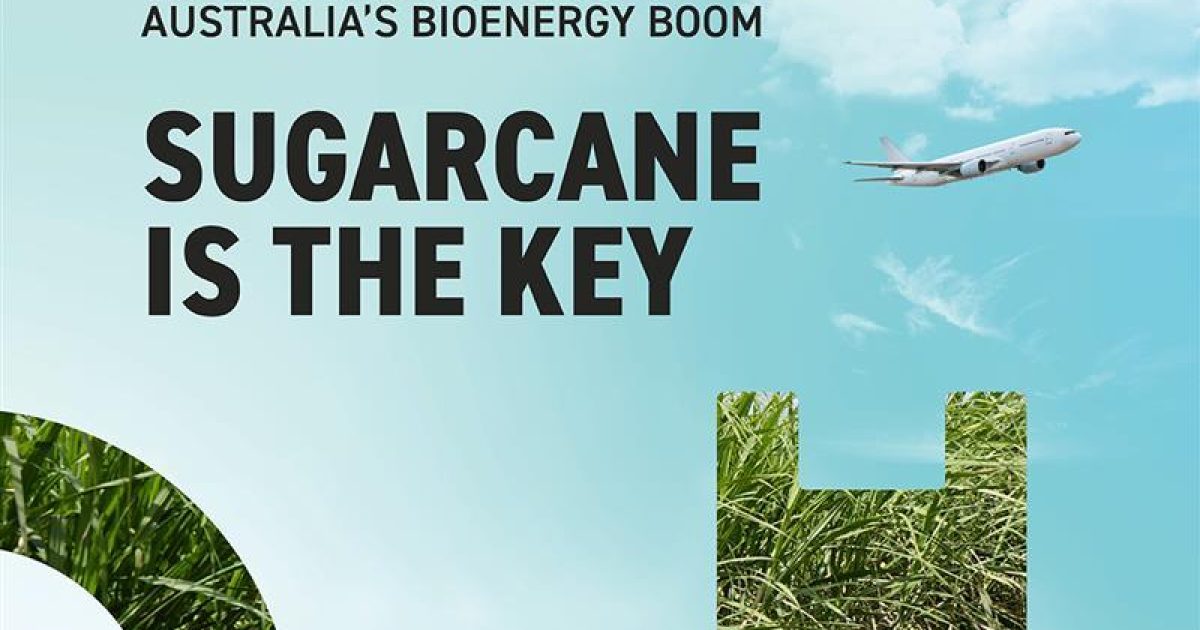 Qld can unlock Australia’s biofuels future - sugar is… | CANEGROWERS